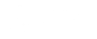 Zane Little - Official Store – Zane Little Shop